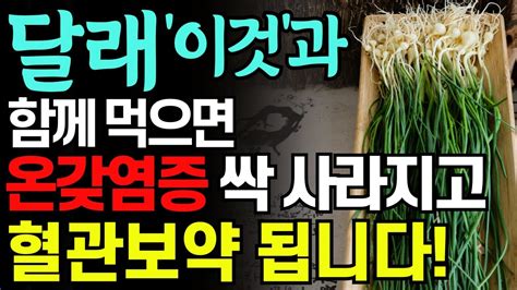 달래와 함께 먹으면 보약되는 음식 4가지와 꿀팁 레시피 이렇게 먹으면 몸속 염증 싹 사라지고 혈관보약 됩니다 항암 음식 치매에 좋은 음식 보양 음식 당뇨 음식