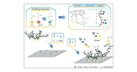 Antifouling And Bactericidal Zwitterionic Polymer Coatings With