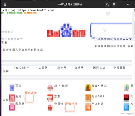 linux终端环境下的浏览器lynx和carbonyl 的基本使用方法 lynx浏览器 csdn博客
