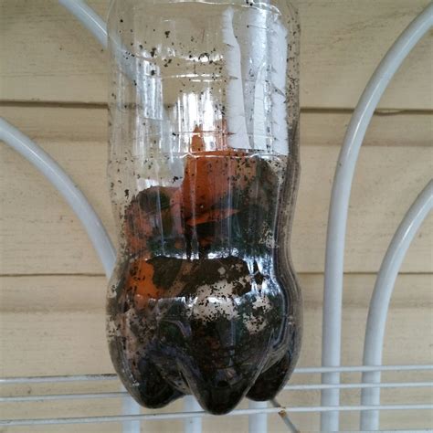 Composting Newsletters