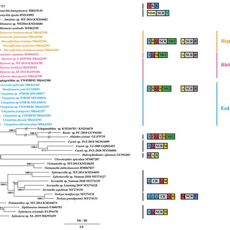 Jia Yong Zhang Professor Full Phd Zhejiang Normal University
