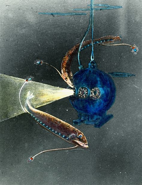 Nobel Notable Of Laureate Park William Beebe Bathysphere Biologist