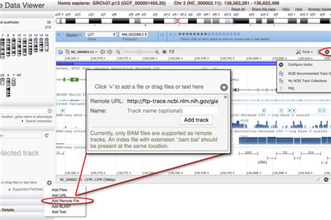 ncbi insights genome data viewer gdv