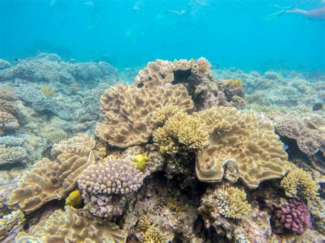 Home Australian Space Data Analysis Facility