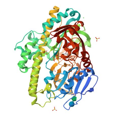 Rcsb Pdb 8dcb Rna Ligase Rtcb From Pyrococcus Horikoshii In Complex