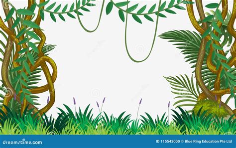 Jungle Vines Cartoon