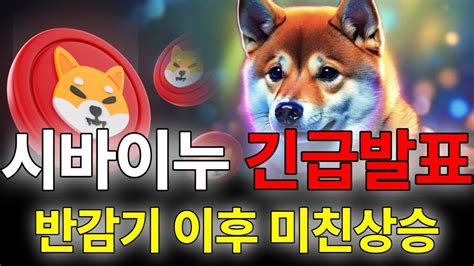 시바이누 반감기 앞두고 시바이누는 더 상승합니다 잠깐의 조정일뿐 시바이누분석 시바이누 도지코인 알트코인 비트