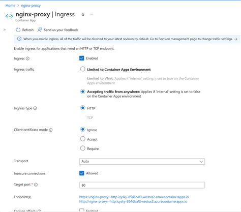 Reactnode With Nginx Proxy On Container Apps