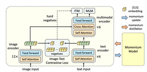 Seems Inconsistency Between Figure In Albef Paper And Corresponding Code · Issue 480