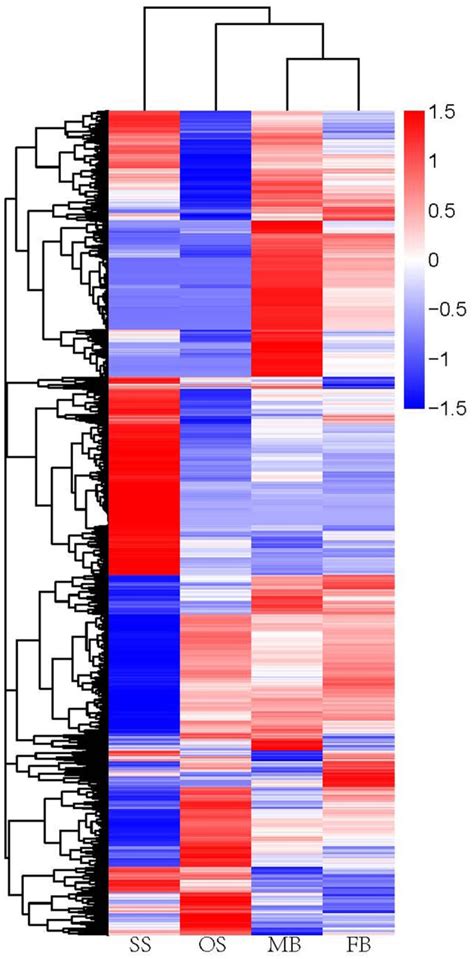 Transcriptome Profile Analysis From Different Sex Types Of Ginkgo