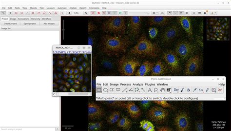 Embedding Fiji Inside Qupath Development Image Sc Forum