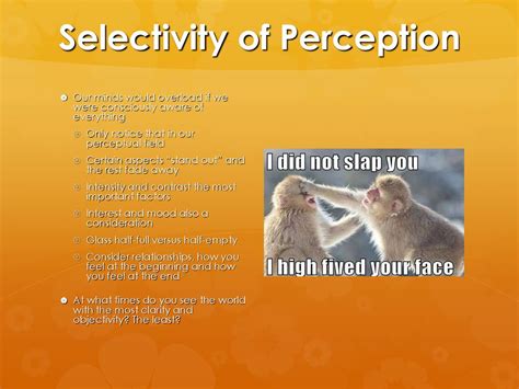 Sense Perception As A Way Of Knowing Ppt Download