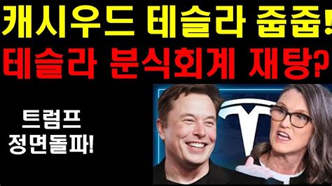 캐시우드 테슬라 줍줍 지금 쓸어담자 테슬라 분식회계 사건 도대체 뭐야 테슬라 자율주행 우월성 트럼프가 집중 하는 이것은
