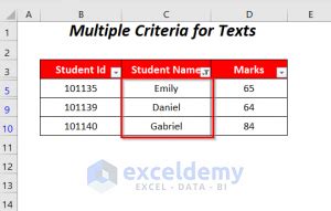 Excel VBA How To Filter With Multiple Criteria In Array Ways