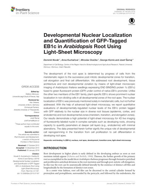 Pdf Developmental Nuclear Localization And Quantification Of Gfp Tagged Eb1c In Arabidopsis