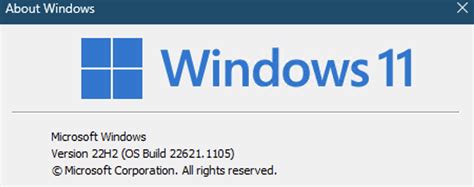 Debugger Process Is Closed On Windows · Issue 171317 · Microsoft