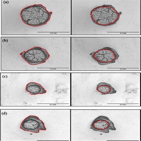 The Epoxy Resin Embedding Method A Flax Fiber Bundles Were Embedded In Download Scientific