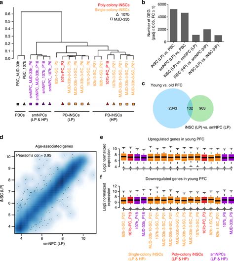 Age Associated Transcriptional Signatures Of Inscs And Psc Derived Download Scientific Diagram
