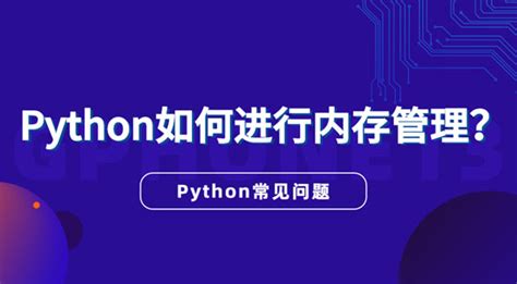 在python中是如何管理内存的