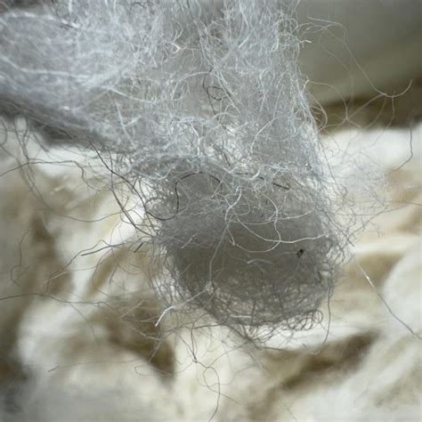 Felting Natural Fiber Sheep Wool Washed Stuffing Insulation Filling 4
