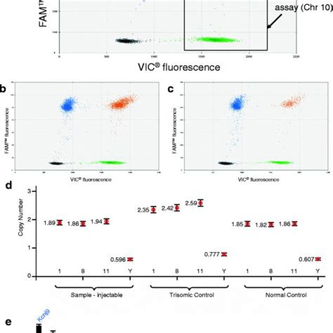 Evaluation Of Copy Number By Multiplexed Ddpcr The Figure Describes Download Scientific