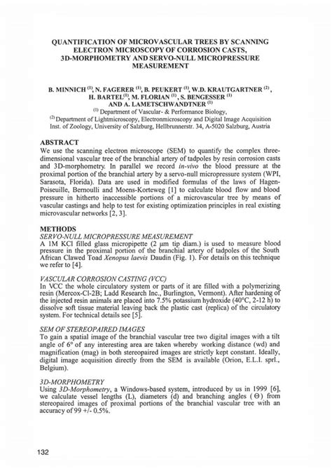 Pdf Quantification Of Microvascular Trees By Scanning Electron Microscopy Of Corrosion Casts