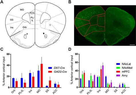 Circuit Architecture Of Vta Dopamine Neurons Revealed By Systematic