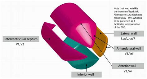 آموزش نحوه گرفتن نوار قلب با دستگاه Ecg مدینیوم