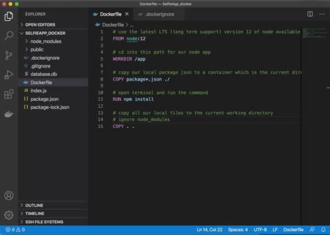 dockerizing my node js selfie app in 30 minutes by li ting liao li