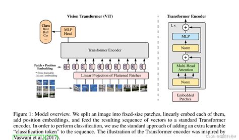 Transreid学习记录 Csdn博客