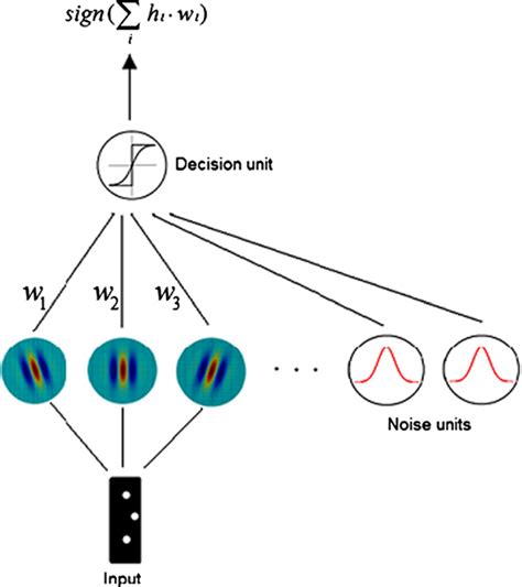 Figure 1 From Explorer Perceptual Learning In Visual Hyperacuity A Reweighting Model