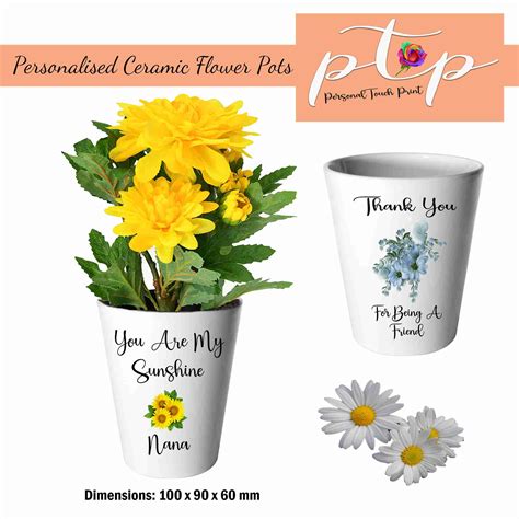 Ceramic Flower Pot Numonday