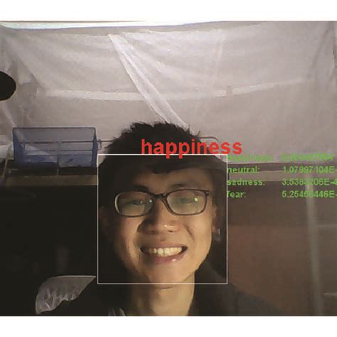 Pdf Fusion Of Facial Expressions And Eeg For Multimodal Emotion