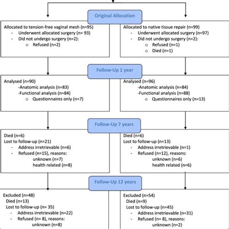 Flowchart Of Randomization And Follow Up Download Scientific Diagram