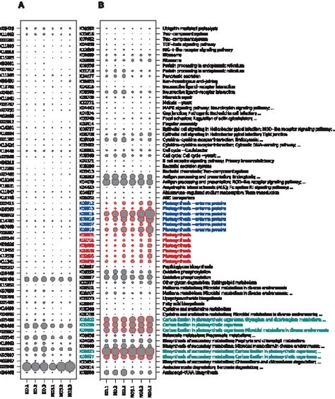 Bubbleplot Of Count Matrix For Significant Genes With A Genes That Do