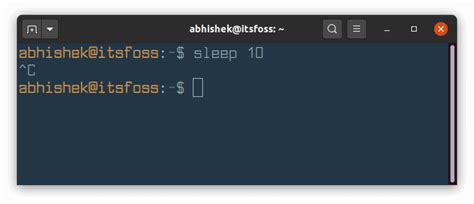 How To Copy Paste In Linux Terminal For Absolute Beginners WIREDGORILLA