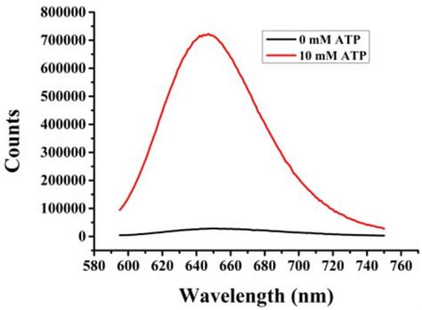 A Fluorescence Enhancement Sensor Based On Silver Nanoclusters