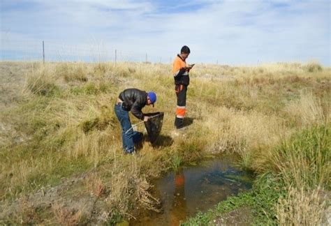 ОВООТ ТОЛГОЙ НҮҮРСНИЙ УУРХАЙН БАЙГАЛЬ ОРЧНЫ ХЯНАЛТ ШИНЖИЛГЭЭНИЙ ХӨТӨЛБӨР Greentrends