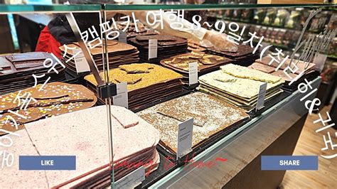 중이가족 스위스 캠핑카여행 8~9일차 취리히and귀국 Youtube