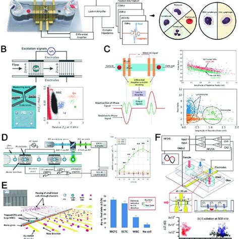 Label Free Cell Detection Based On Electrical Properties A Top And Download Scientific