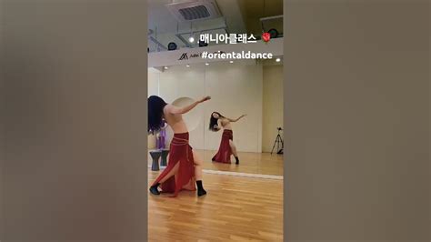 아샤벨리댄스 매니아클래스 모닝벨리 Orientaldance Bellydancing 오리엔탈댄스 벨리댄스 홍대벨리댄스 홍대댄스학원 Dance Youtube