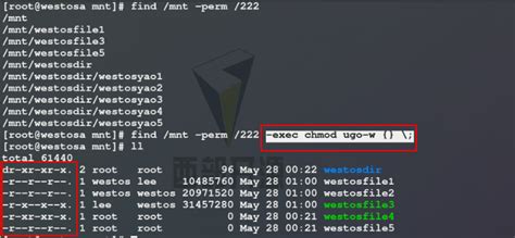 linux中find命令基本使用方法 find命令用法及参数 腾讯云开发者社区 腾讯云