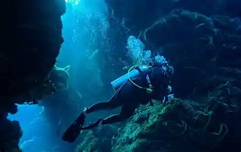 Scubatony Cozumel Scuba Diving