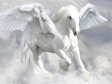 Pegasus Wallpapers Fantasy Hq Pegasus Pictures 4k Wallpapers 2019