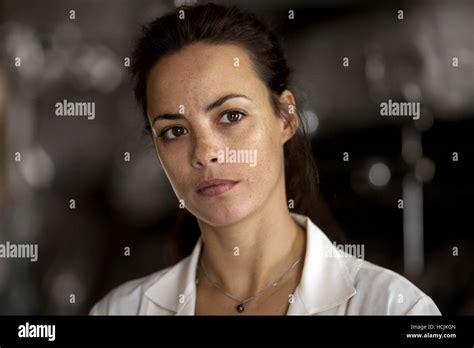 The Past Berenice Bejo 2013 Ph Carole Bethuel ©sony Pictures