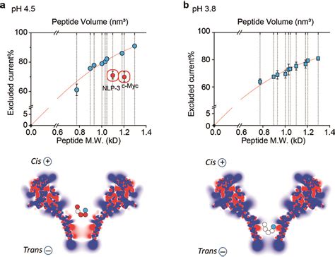 Single Molecule Peptide Mass Identification Using Nanopores 2019 Wiley Analytical Science