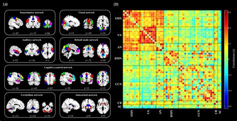 Abnormal Intrinsic Brain Functional Network Dynamics In First Episode