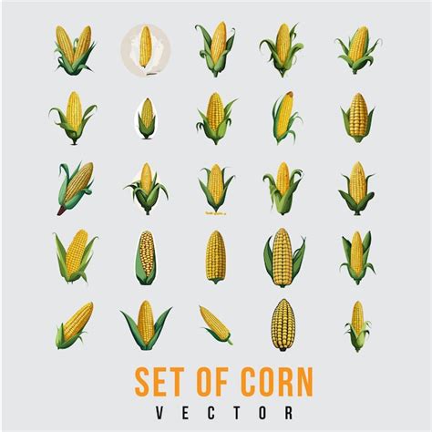 Premium Vector Set Of Corn Vector Editable