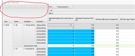 Pivot Grid Devexpress Expertnasad