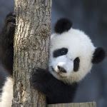 旋转向量和旋转矩阵的互相转换python cv Rodrigues 函数 CSDN博客